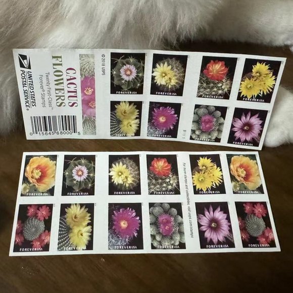 USPS | Other | Cactus Flowers Twenty Firstclass Forever Stamps 5 Books ...